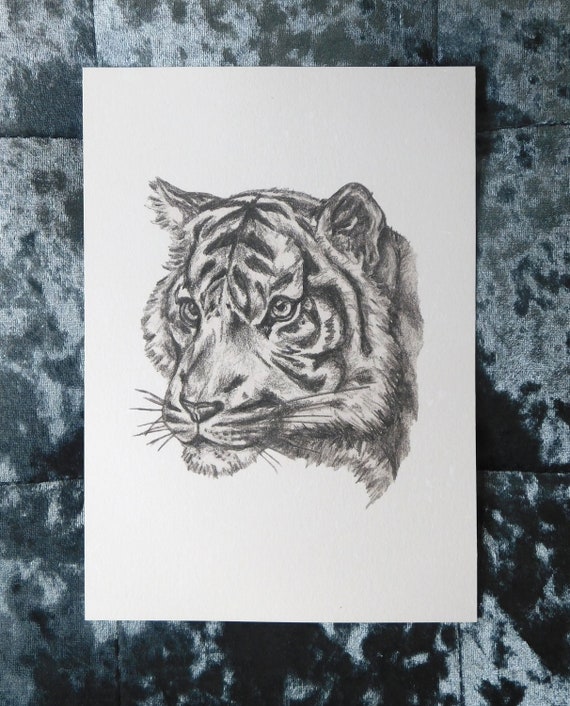 Tiger Pencil Drawing Print | Etsy