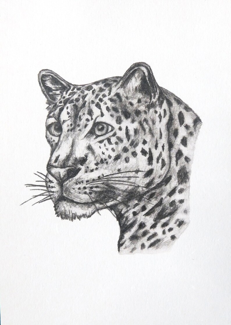 Leopard Pencil Drawing Print - Etsy