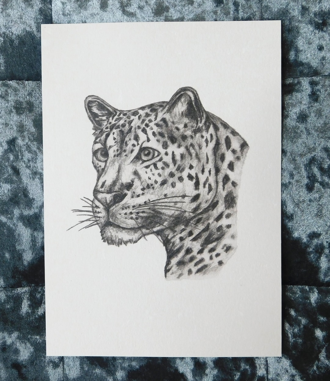 Leopard Pencil Drawing Print - Etsy