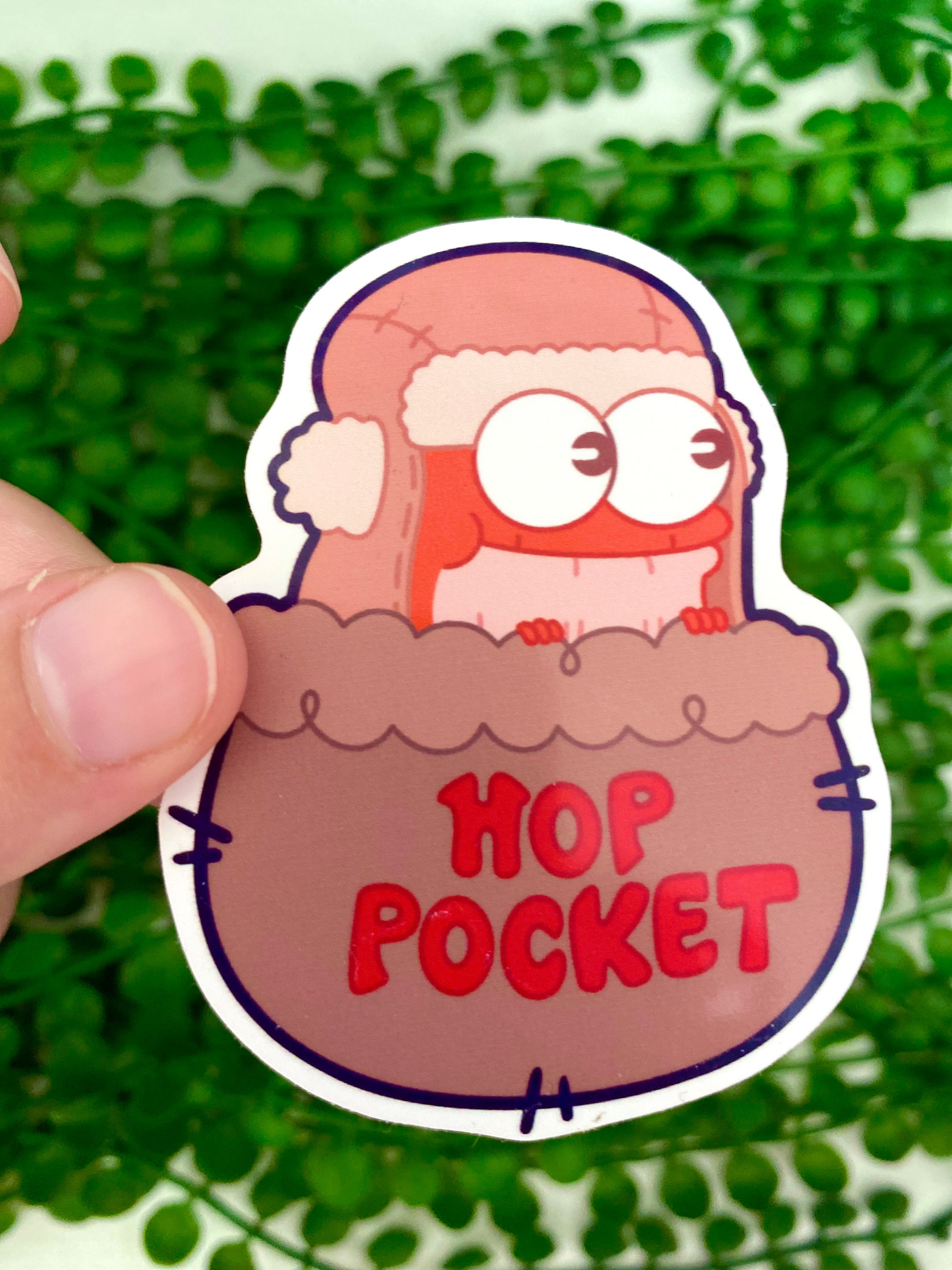 Hop Pocket Sticker Amphibia Hop Pop Anne Boonchuy - Etsy