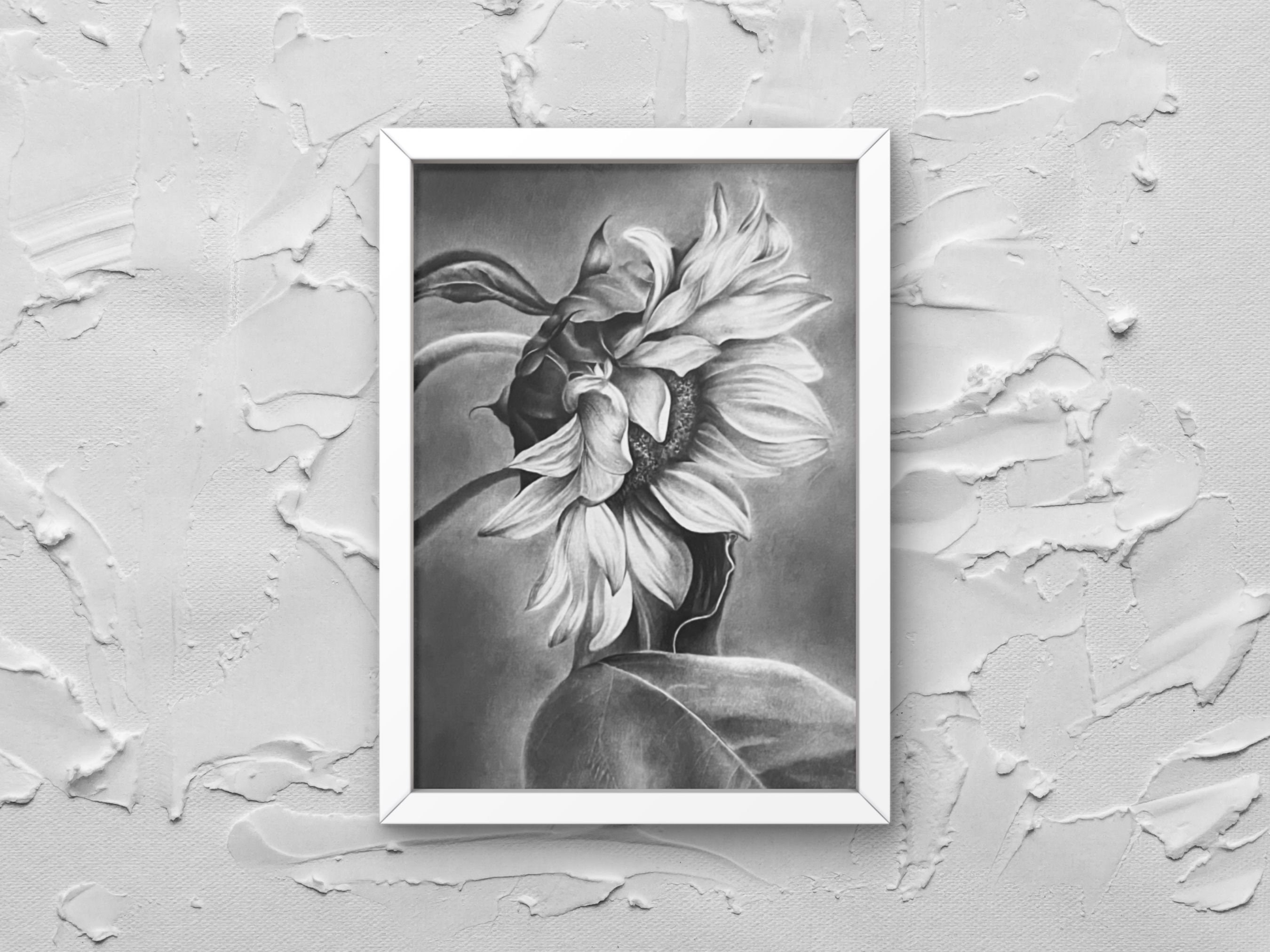 Original Sunflower Sketch | Sunflower Graphite Sketch | Flower Pencil ...