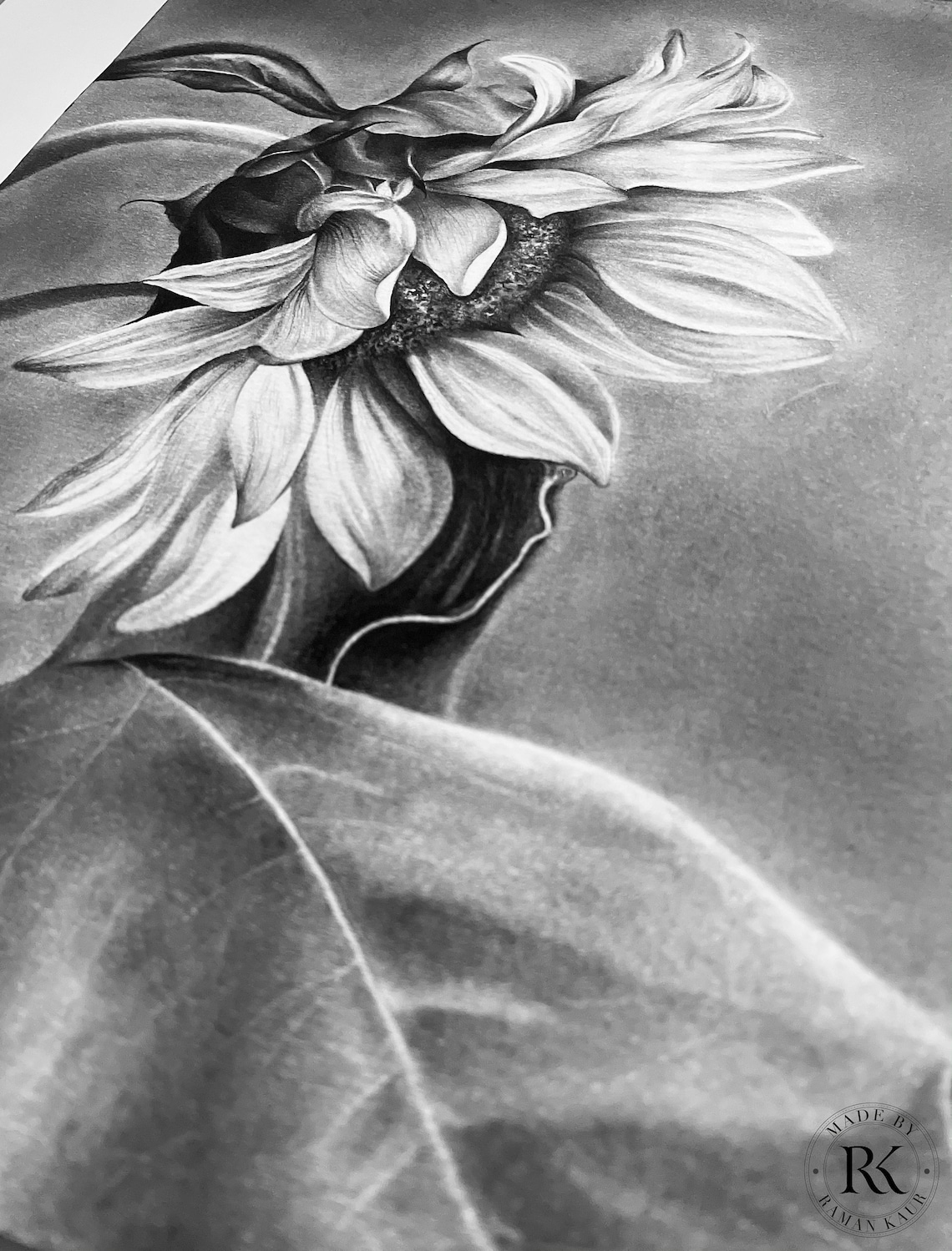 Original Sunflower Sketch Sunflower Graphite Sketch Flower - Etsy