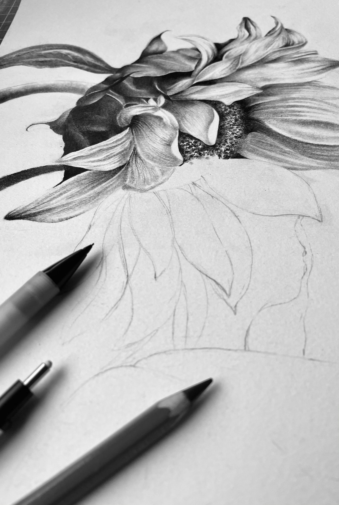 Original Sunflower Sketch Sunflower Graphite Sketch Flower - Etsy