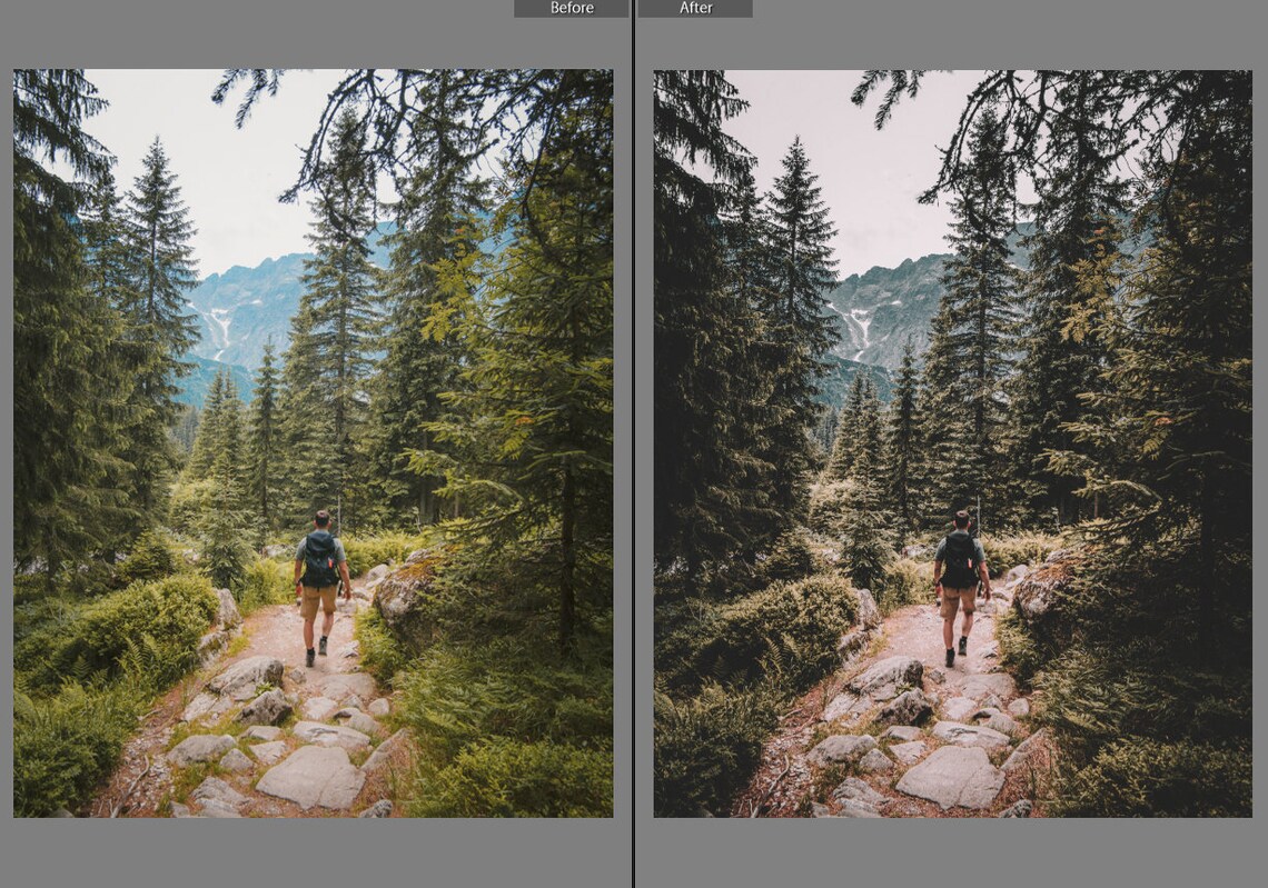 Moody Forest Filter - Moody Presets for Mobile and Desktop Lightroom - Etsy