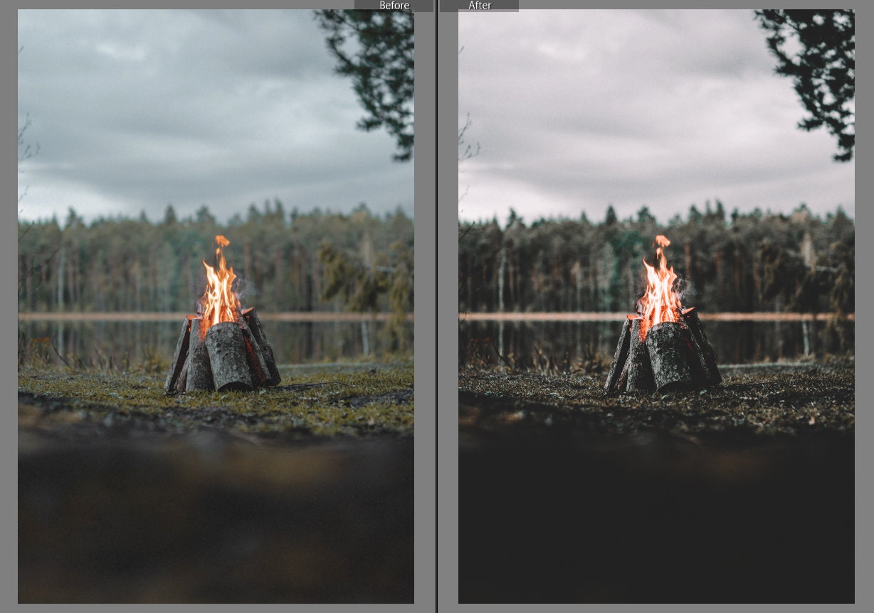 Moody Forest Filter - Moody Presets for Mobile and Desktop Lightroom - Etsy