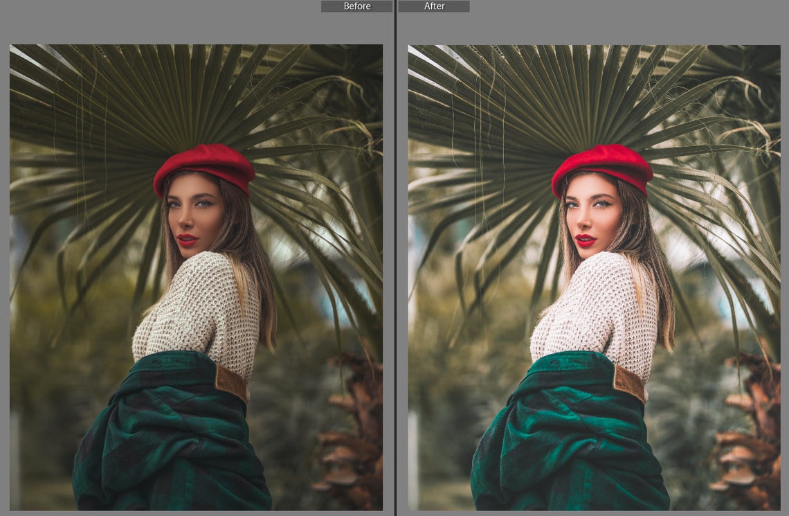 Portrait Filters Lightroom Mobile and Desktop Presets - Etsy