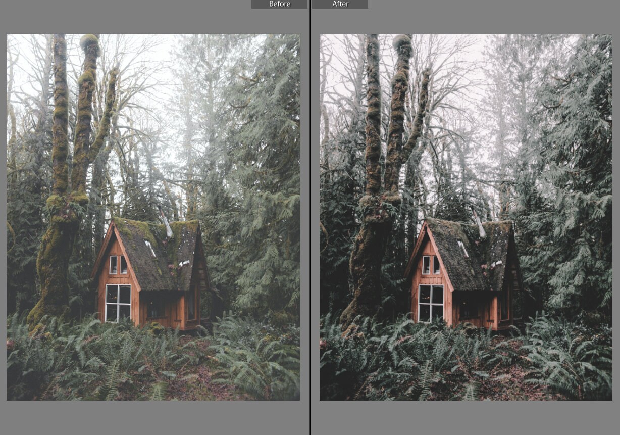 Moody Forest Filter - Moody Presets for Mobile and Desktop Lightroom - Etsy