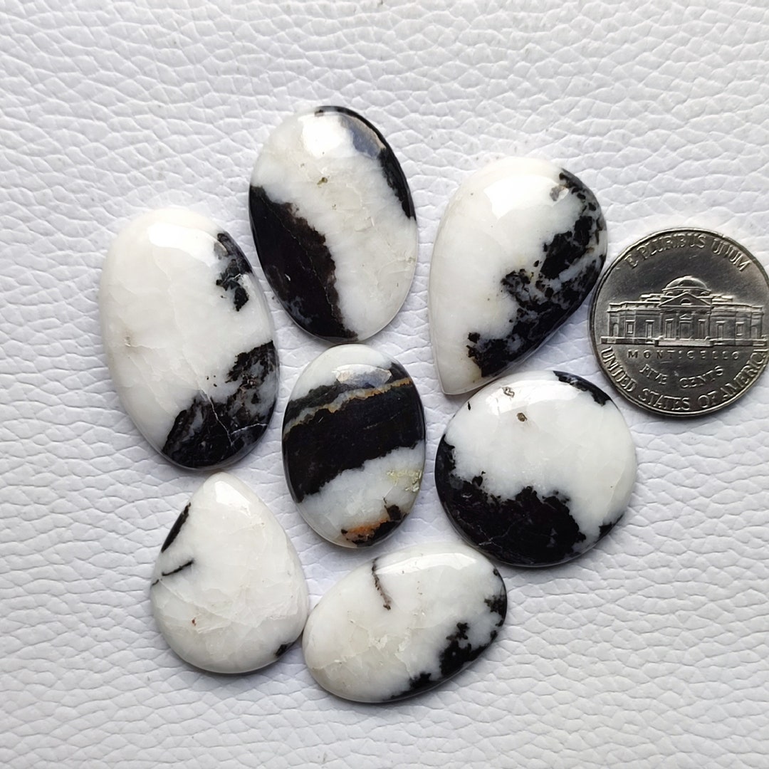 7 Pcs Natural White Buffalo Turquoise Cabochon White Buffalo Turquoise ...