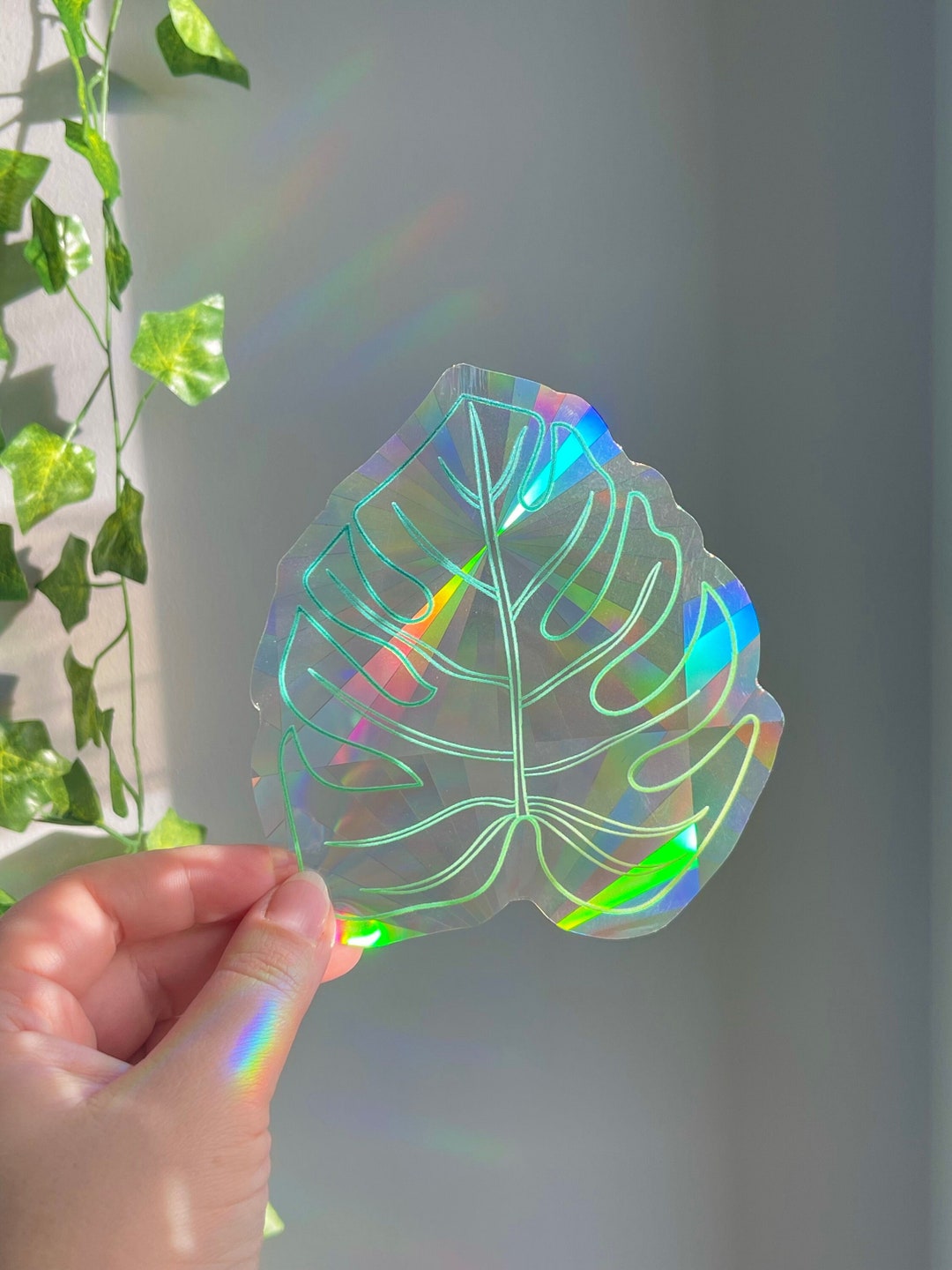 Monstera Leaf Suncatcher Sticker Window Decal, Greenhouse Sticker ...