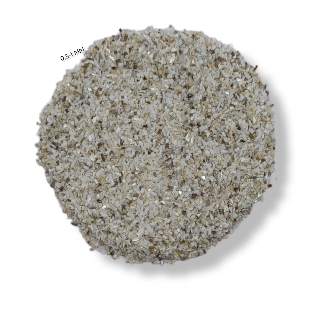 Crushed Oyster Shell Healing Stone Powder 0.5 to 1 MM Gemstone Coarse ...