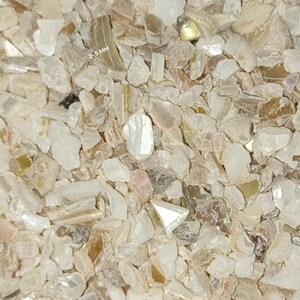 Crushed Abalone Shell Coarse Gemstone Powder All Size Natural Shell ...