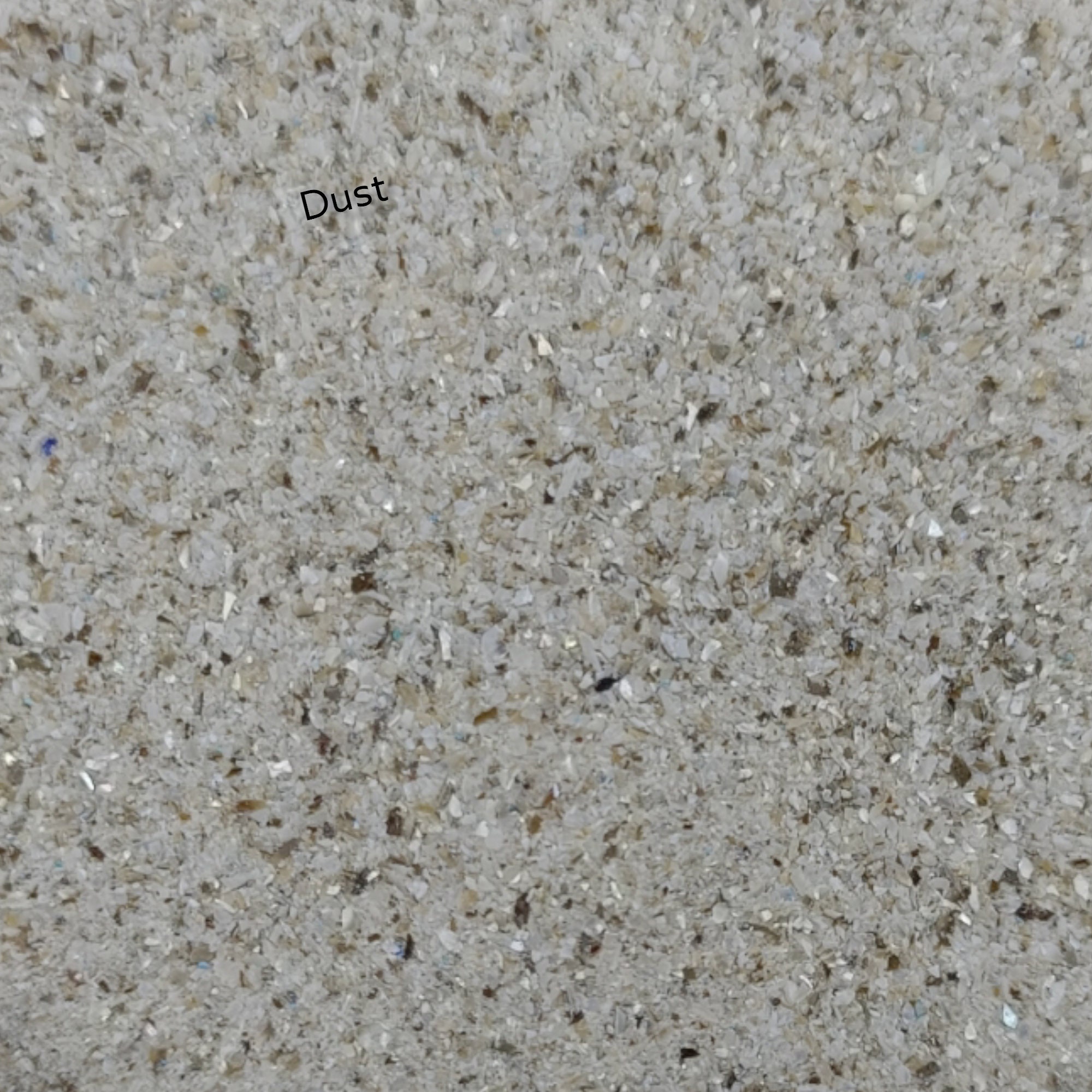 Crushed Oyster Shell Healing Stone Powder and Dust Gemstone Coarse for ...