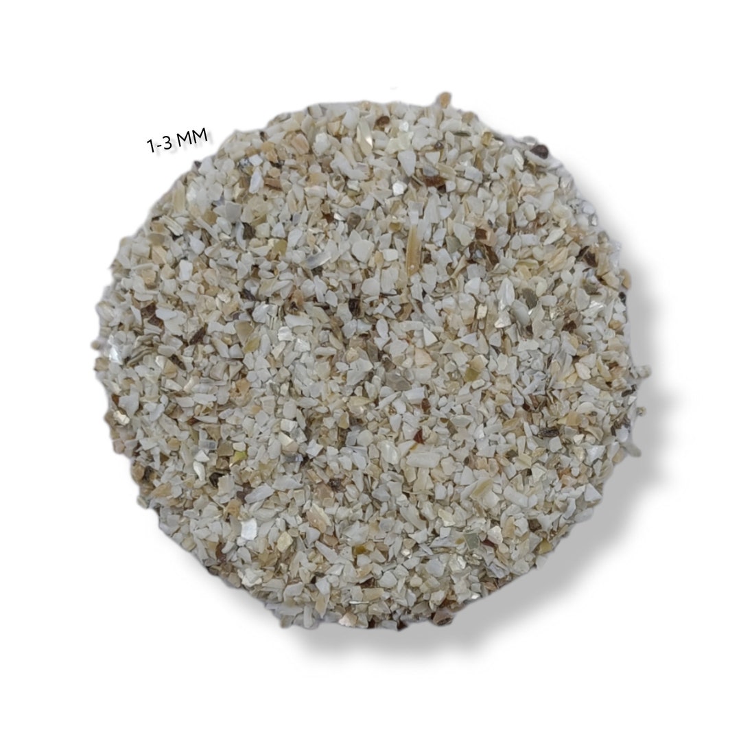Crushed Oyster Shell Healing Stone Powder 1 to 3 MM Gemstone Coarse for ...