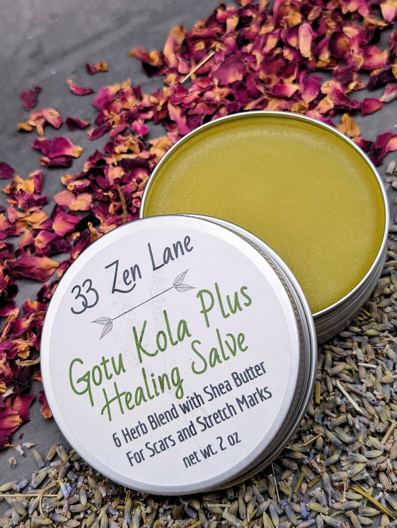 Gotu Kola Plus Healing Salve, Scar Salve, Stretch Mark Salve, Beeswax ...