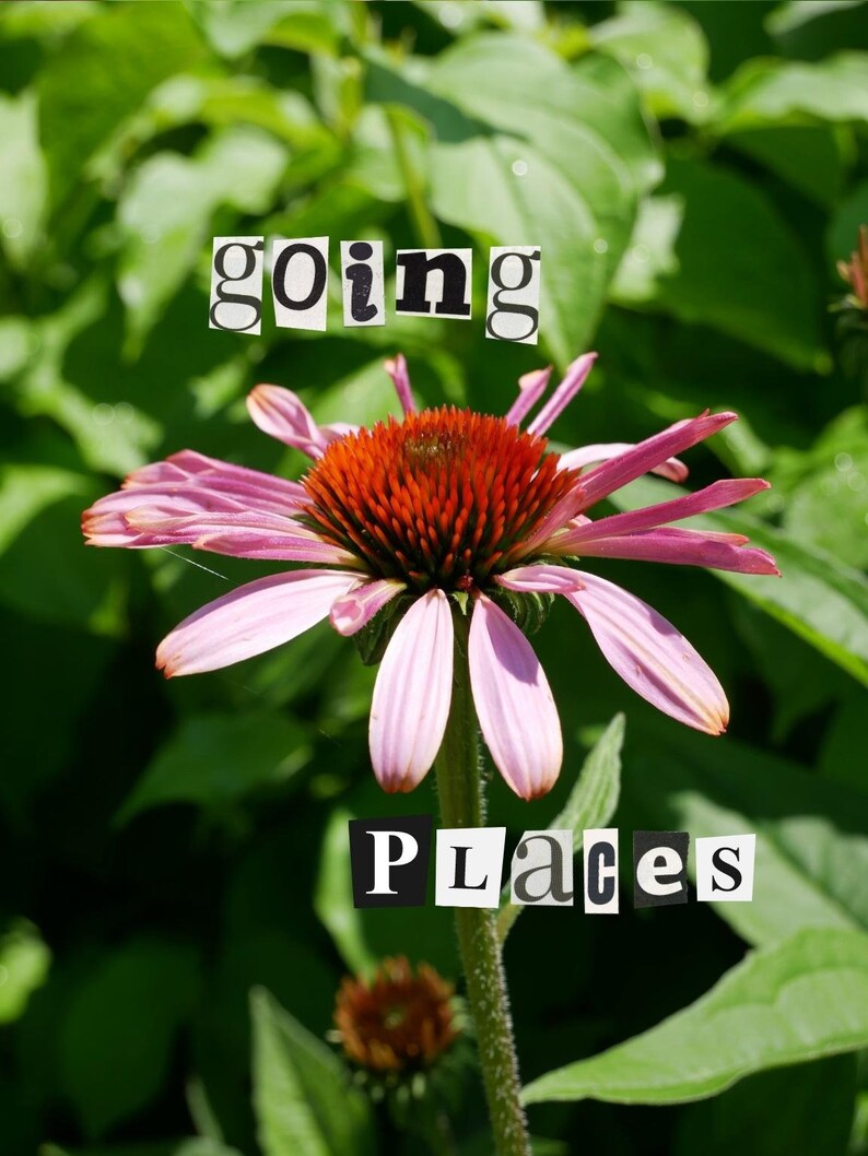 Digital Positive Affirmation Collage - Etsy