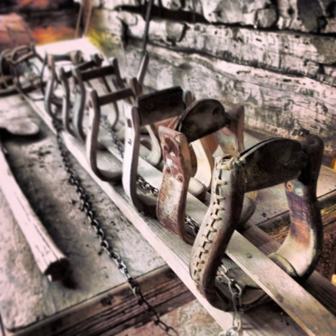 Vintage Stirrups. Original Photography. 20x20 Stretched Canvas - Etsy