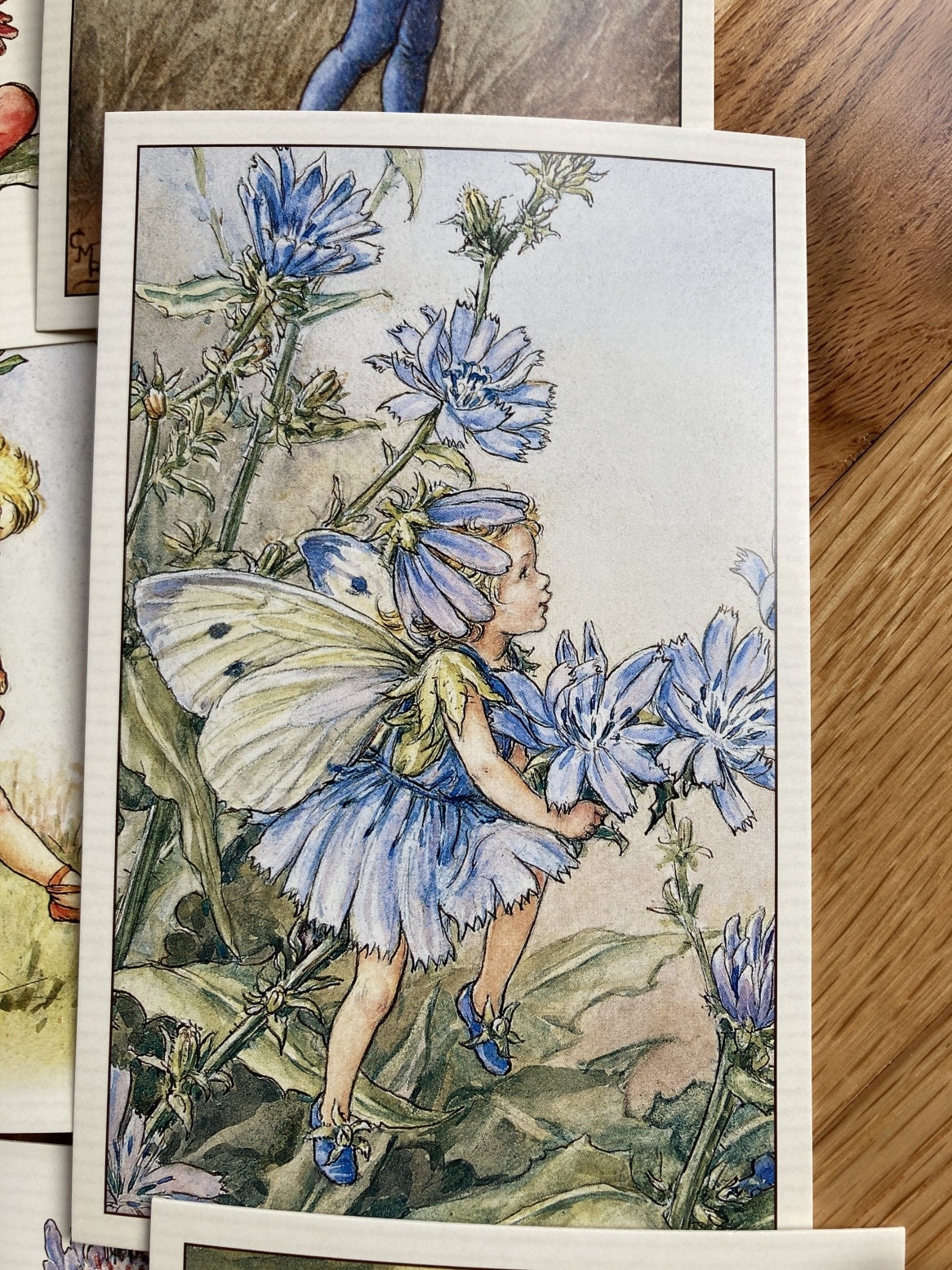 UPDATED New Postcards Set 2 or 4 Flower Fairy Postcards by | Etsy