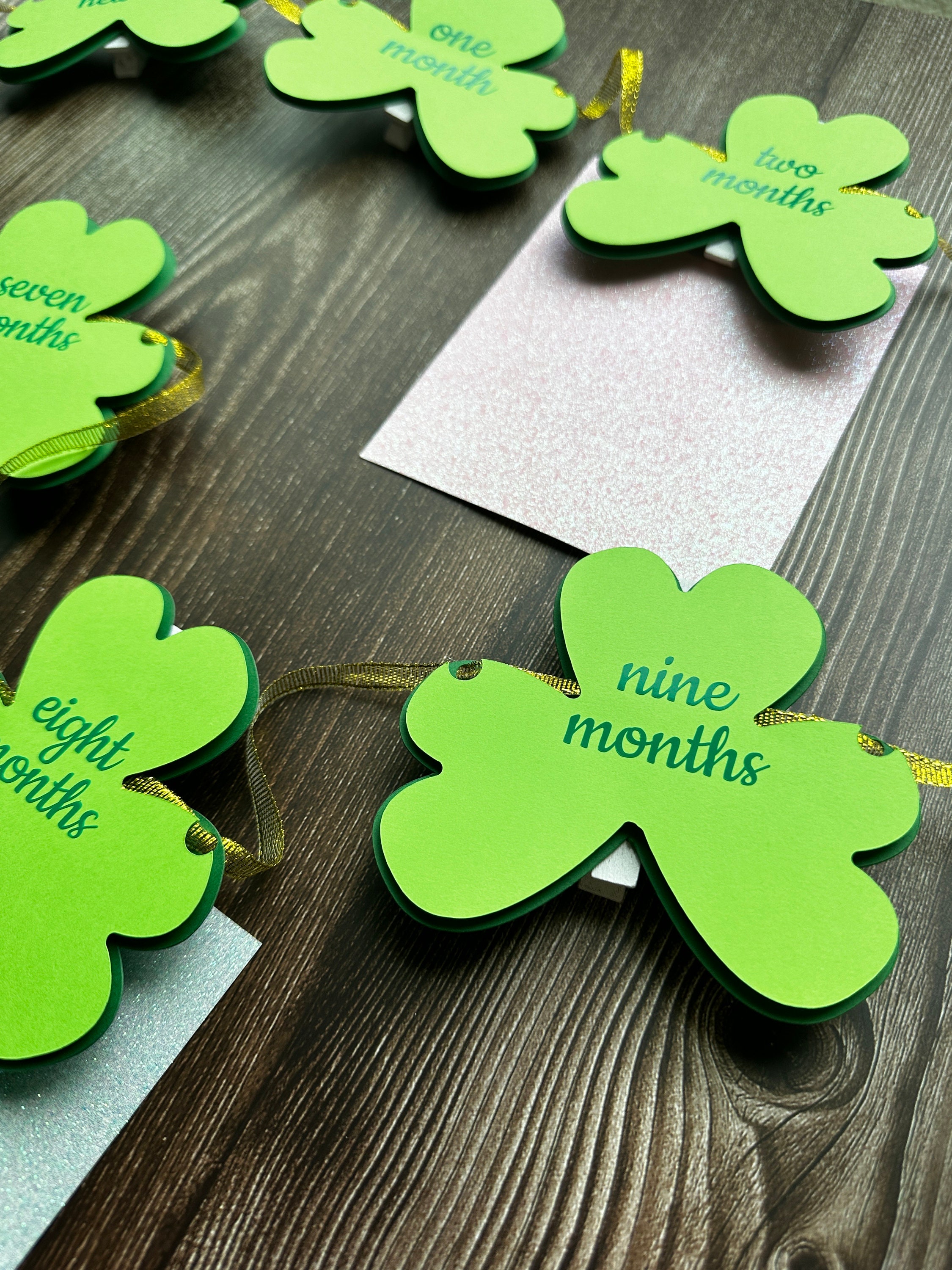 Lucky One Birthday Milestones Banner - Etsy