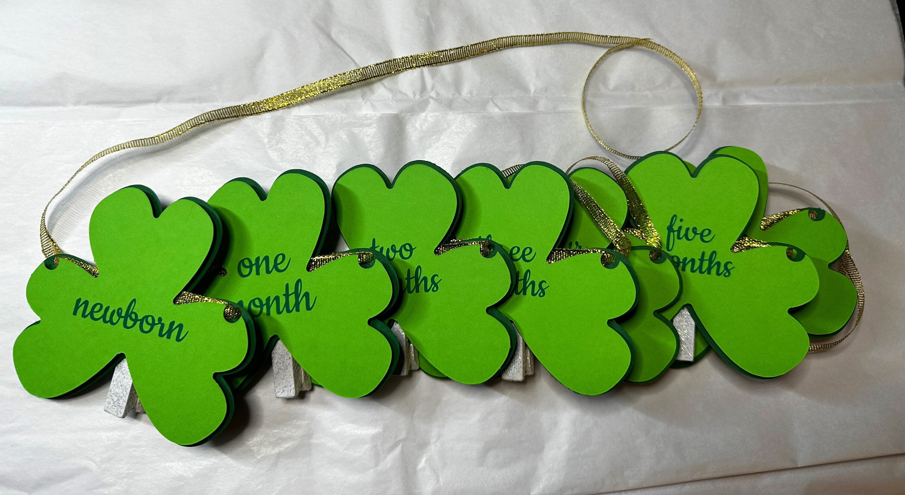 Lucky One Birthday Milestones Banner - Etsy