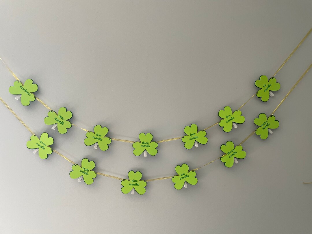 Lucky One Birthday Milestones Banner - Etsy