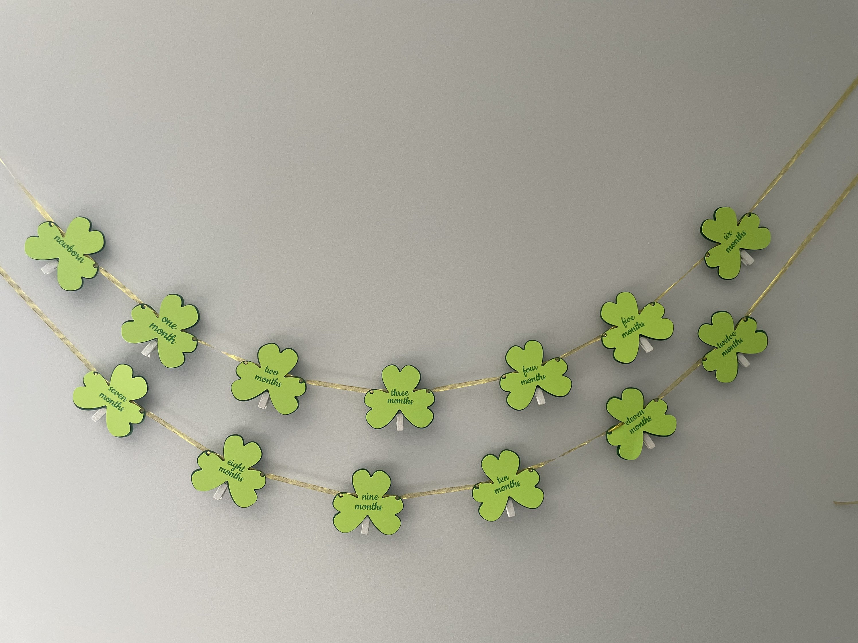 Lucky One Birthday Milestones Banner - Etsy