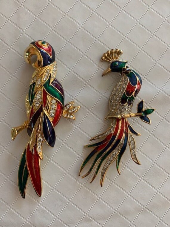 Large Exotic Bird Brooches - Gem