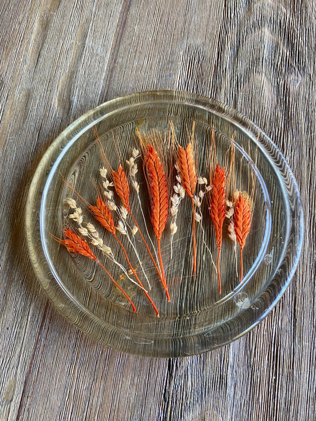 Vintage Orange Wheat Resin Trivet - Etsy