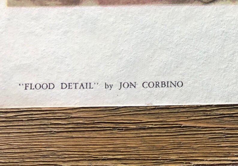 Flood Detail by Jon Corbino Vintage Print - Etsy