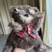 Vintage Poppy Bear Hand Puppet - Etsy