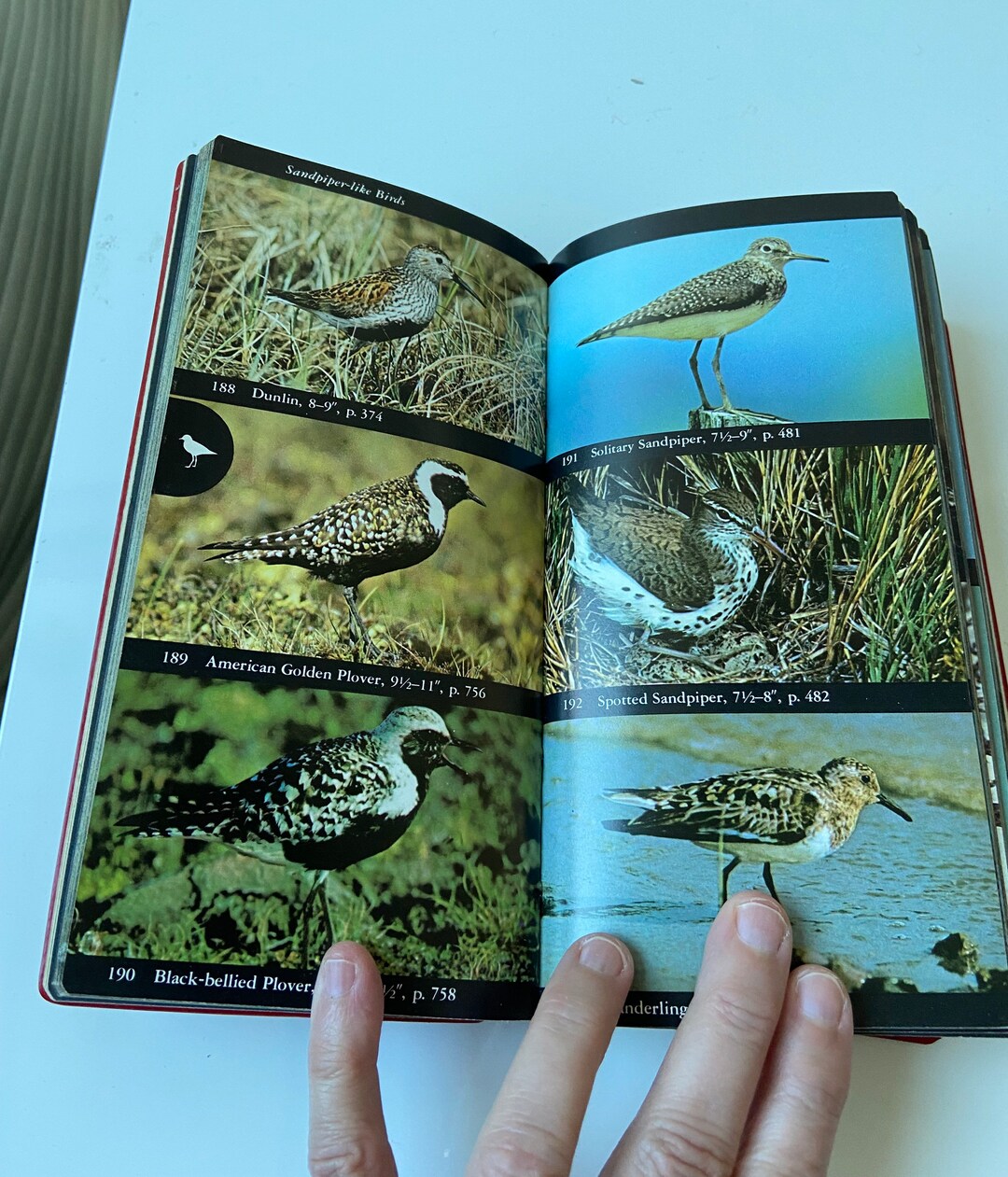 Vintage North America Birds Field Guide - Etsy