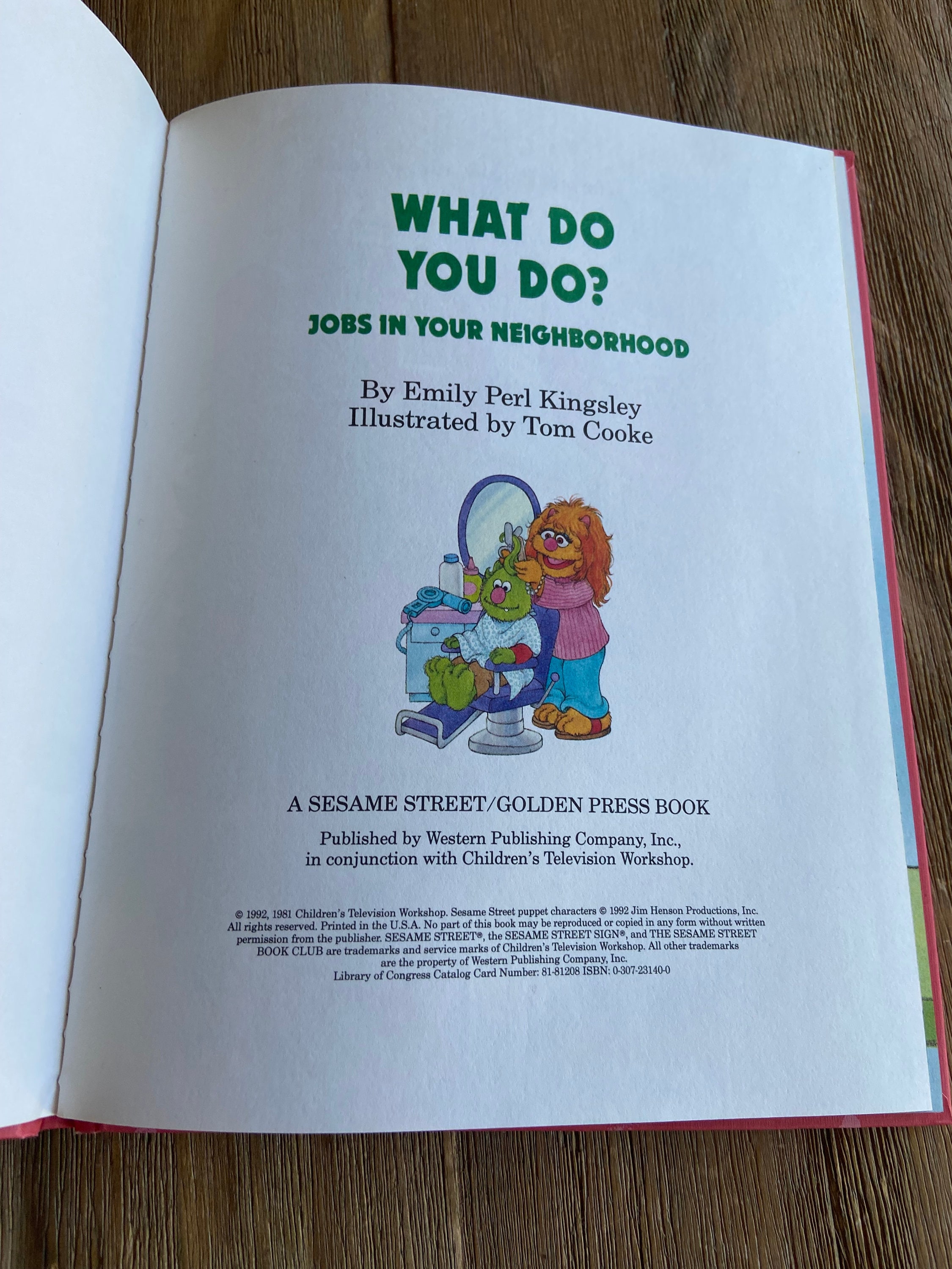 Vintage Sesame Street What Do You Do ? Book - Etsy