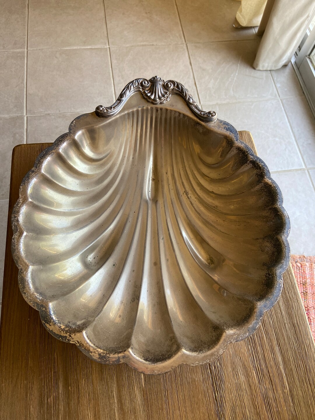 Vintage Silver Conch Shell Bowl - Etsy