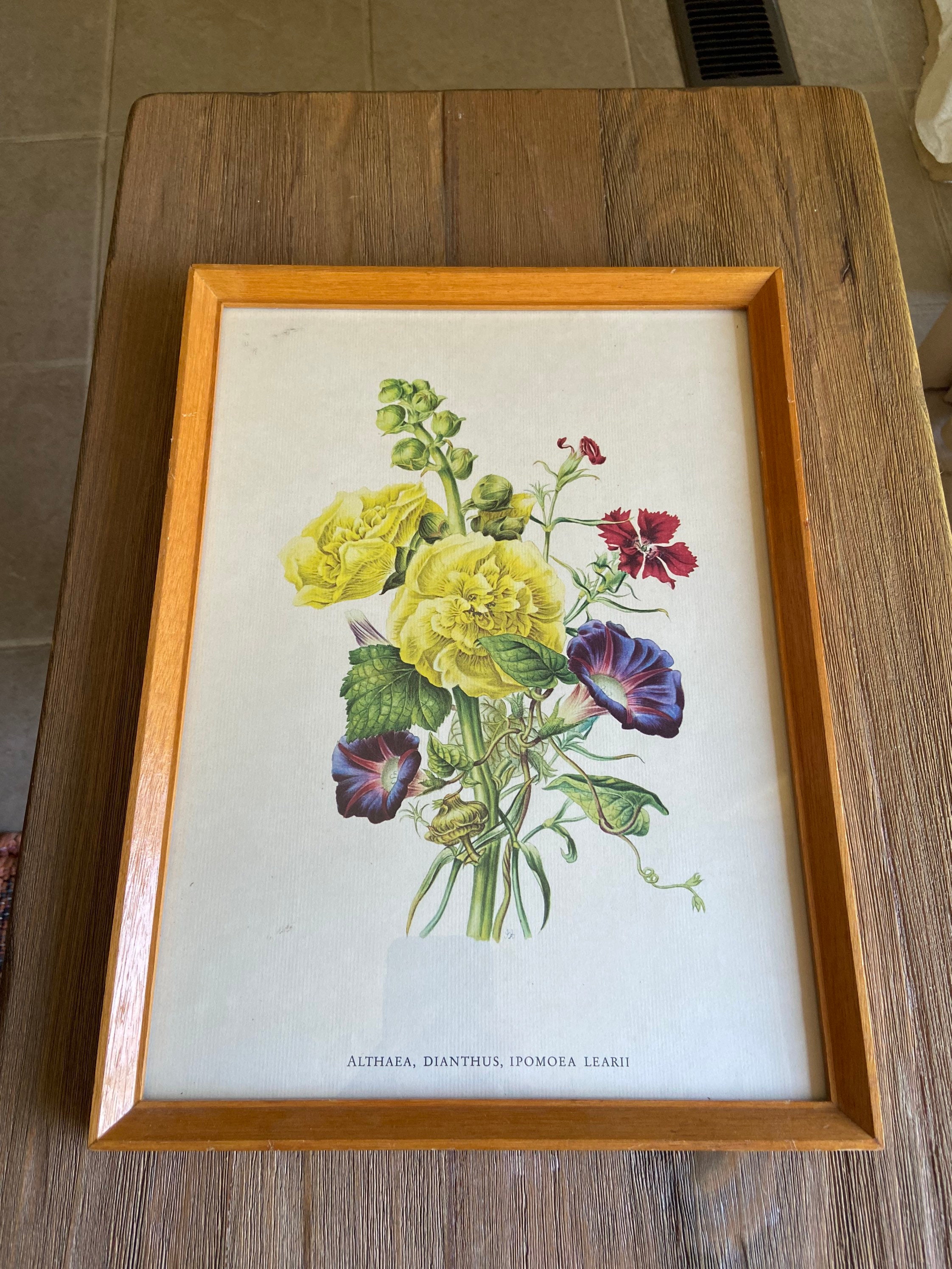 Vintage Floral Print With Frame | Etsy