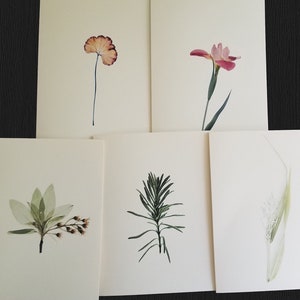 Nature Note Cards, Assorted Blank Card Set, Small Gift for Friend - Etsy