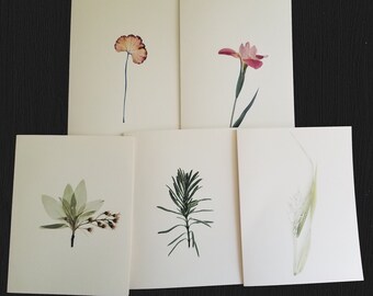 Nature Note Cards - Etsy