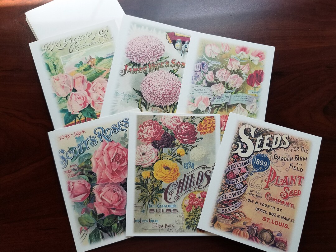 12 Note Cards With Envelopes Vintage Seed Pack Note Cards - Etsy