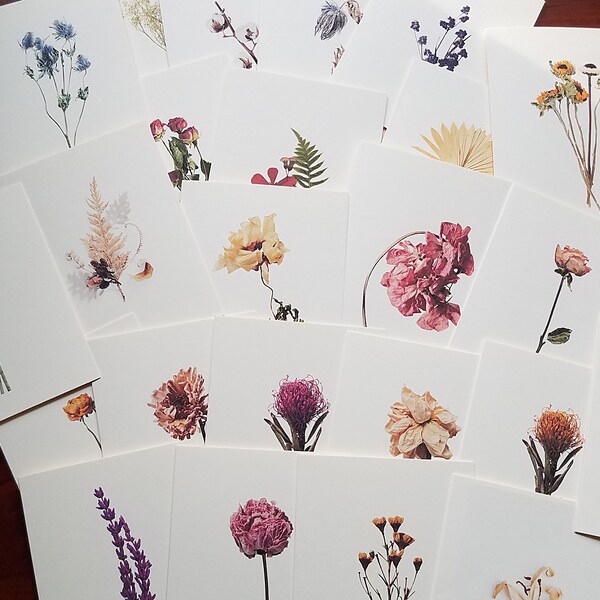Blank Note Card Set - Etsy