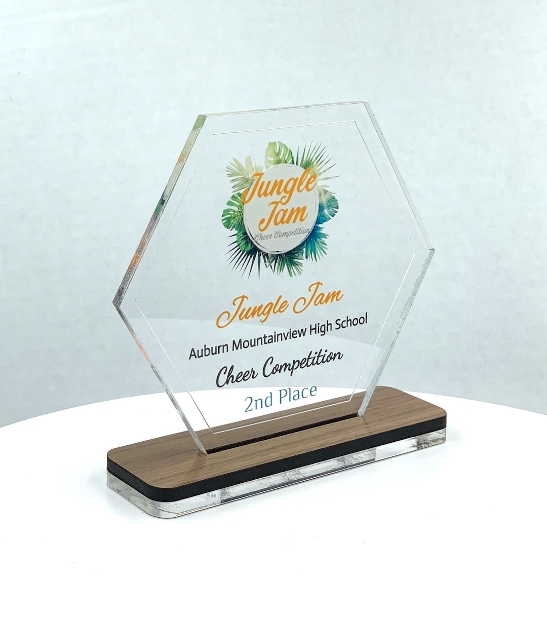 Hexagon Acrylic Trophy With Wood Base / Science Award / STEM Award ...