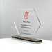 Hexagon Acrylic Trophy With Wood Base / Science Award / STEM Award ...