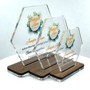 Hexagon Acrylic Trophy With Wood Base / Science Award / STEM Award ...