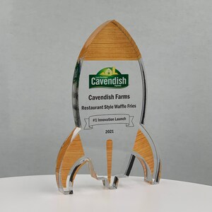 Rocket Trophy / USA Flag Themed Trophy / STEM Award / NASA Space Trophy ...