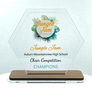 Hexagon Acrylic Trophy With Wood Base / Science Award / STEM Award ...