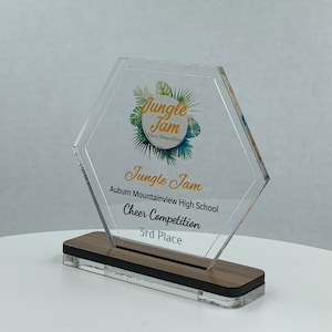 Hexagon Acrylic Trophy With Wood Base / Science Award / STEM - Etsy