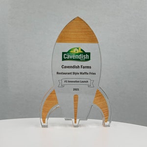 Rocket Trophy / USA Flag Themed Trophy / STEM Award / NASA Space Trophy ...