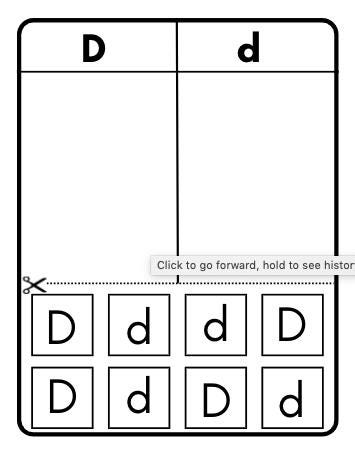 Capital/lowercase Letter Sort - Etsy
