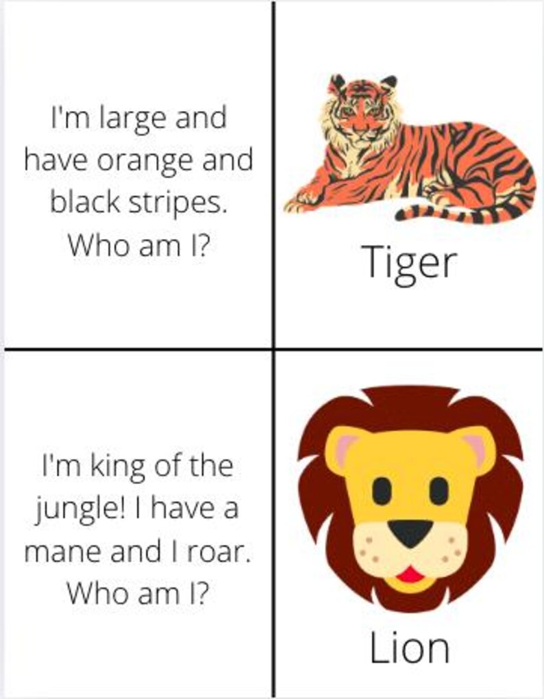 Zoo Riddles - Etsy