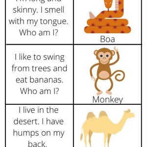 Zoo Riddles - Etsy