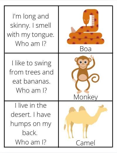 Zoo Riddles - Etsy