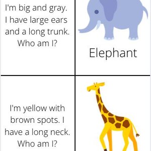 Zoo Riddles - Etsy