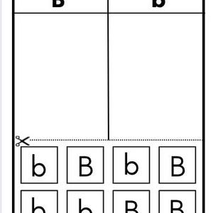 Capital/lowercase Letter Sort - Etsy